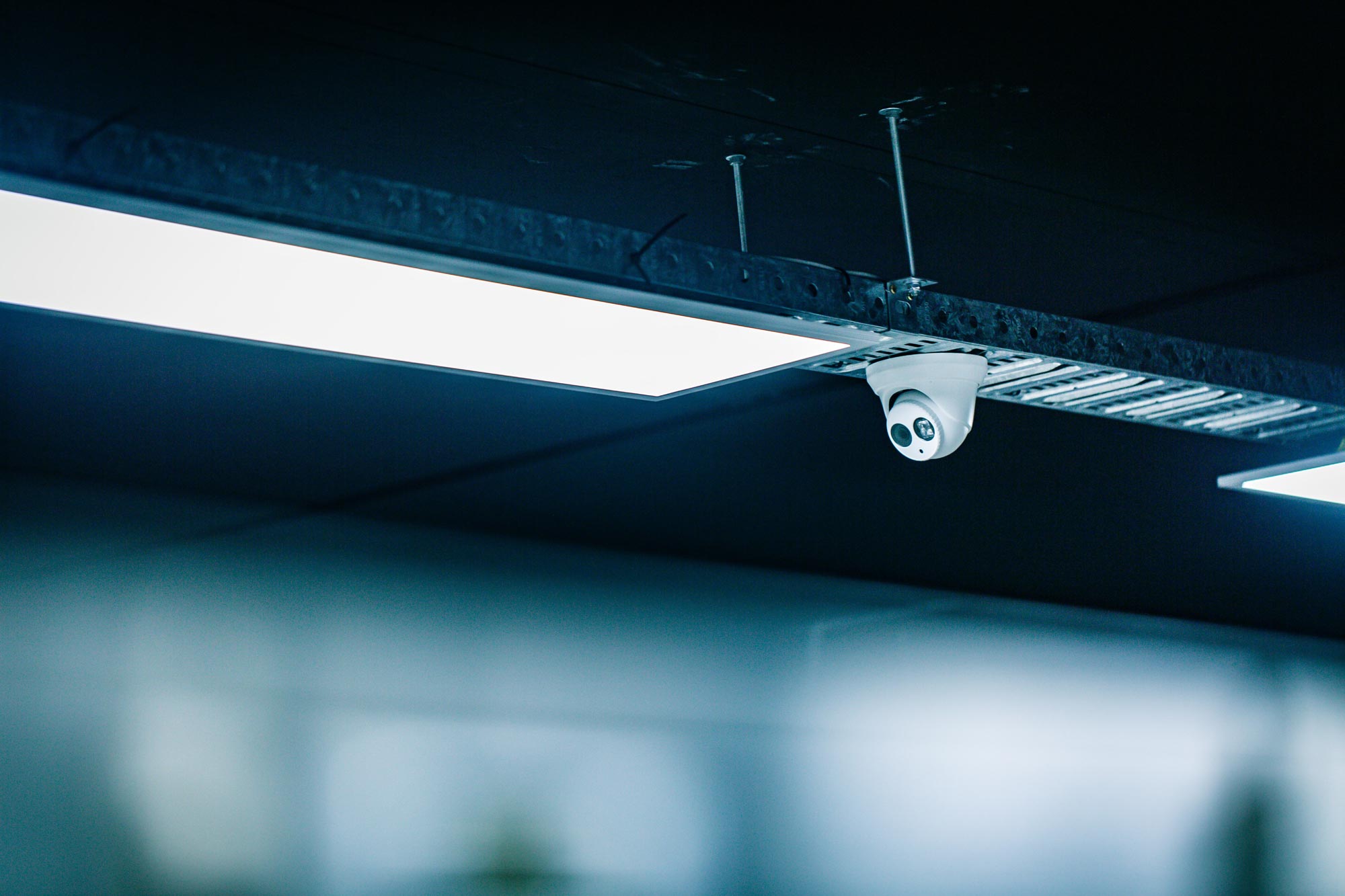 Electronic Security Services - Fire & Security